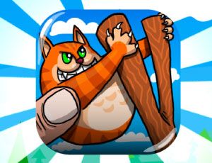 Angry Cat: fun games | Best School Games